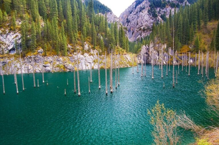 Kaindy Lake: The Mysterious Sunken Forest of Kazakhstan - DocTour Kyrgyz